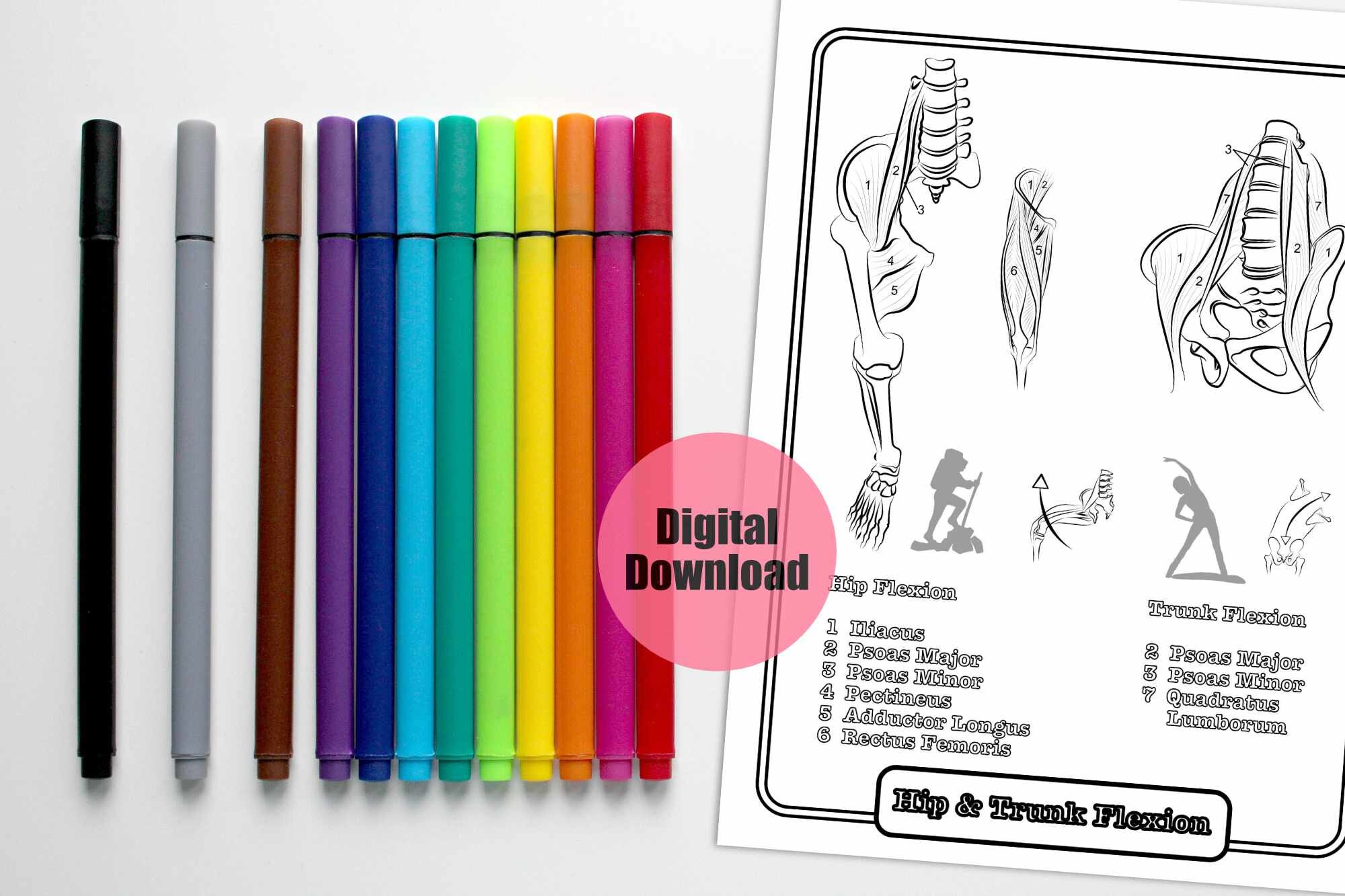 10 Anatomy Coloring Book Pages, Printable Body Worksheets, Human Study ...