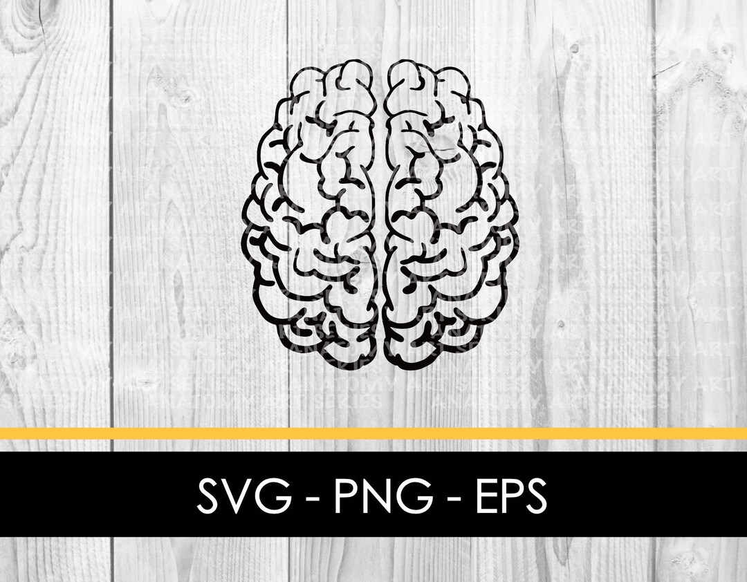 Brain Top View Svg Png, Neuro Neurologist Vector, Cut Files DIGITAL ...