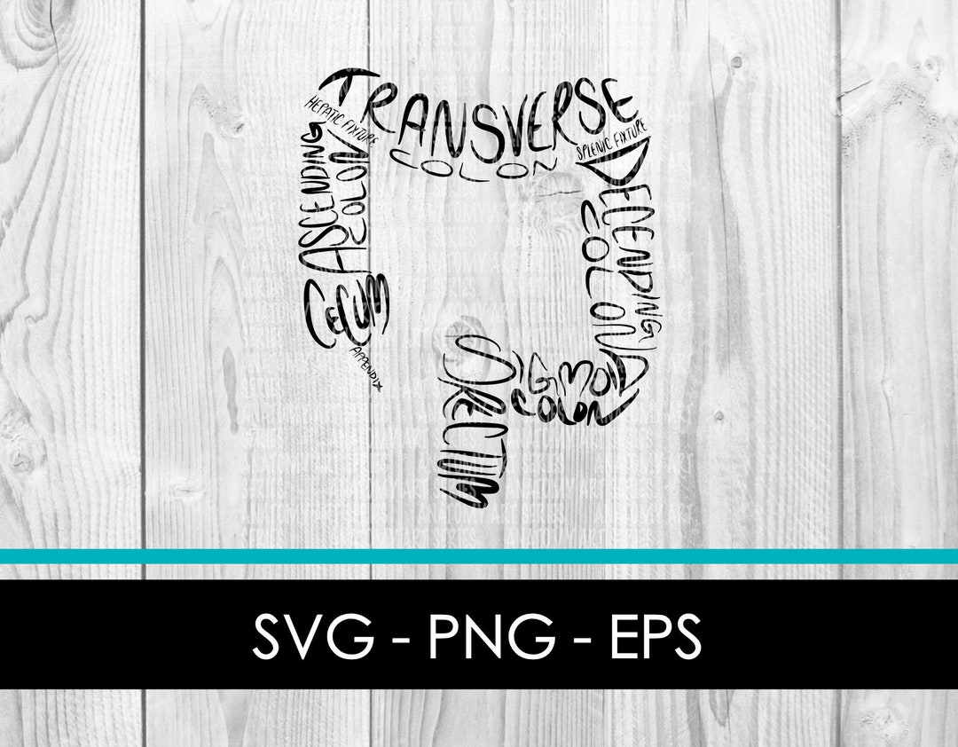 Intestestines Svg/digestive System Svg/silhouette Cut Files - Etsy