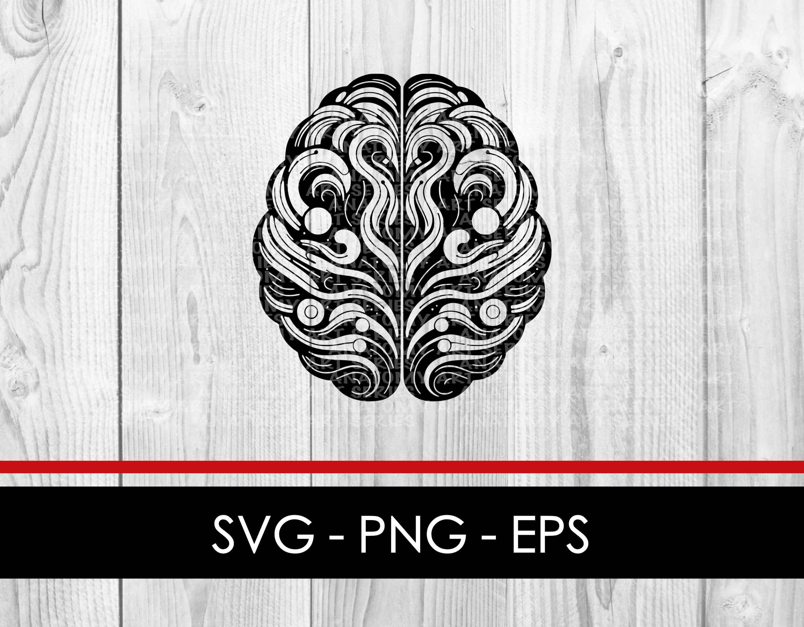 Brain Top View Svg Png, Neuro Neurologist Vector, Medical Cut Files ...