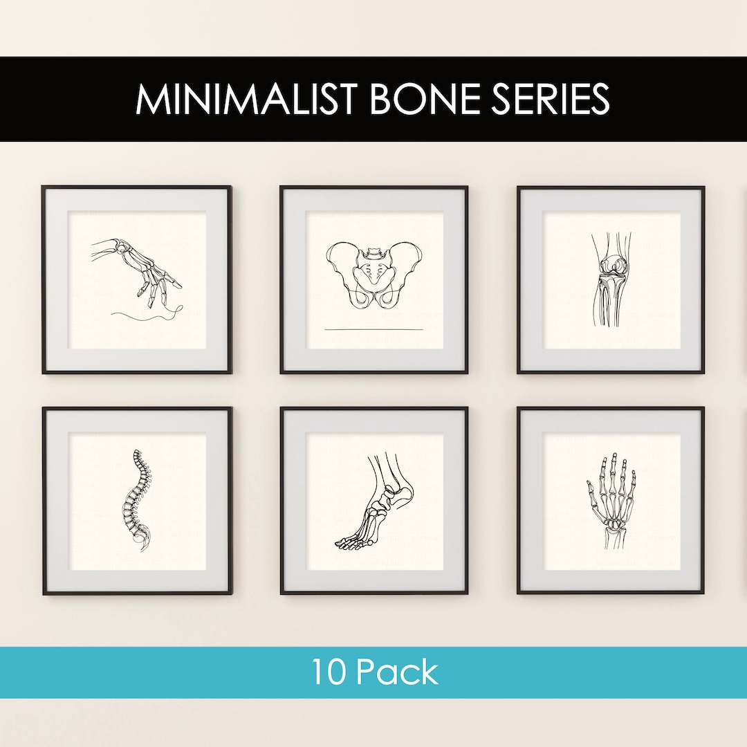 10 Human Skeleton Line Art Prints- Minimalist Anatomy Art Print ...