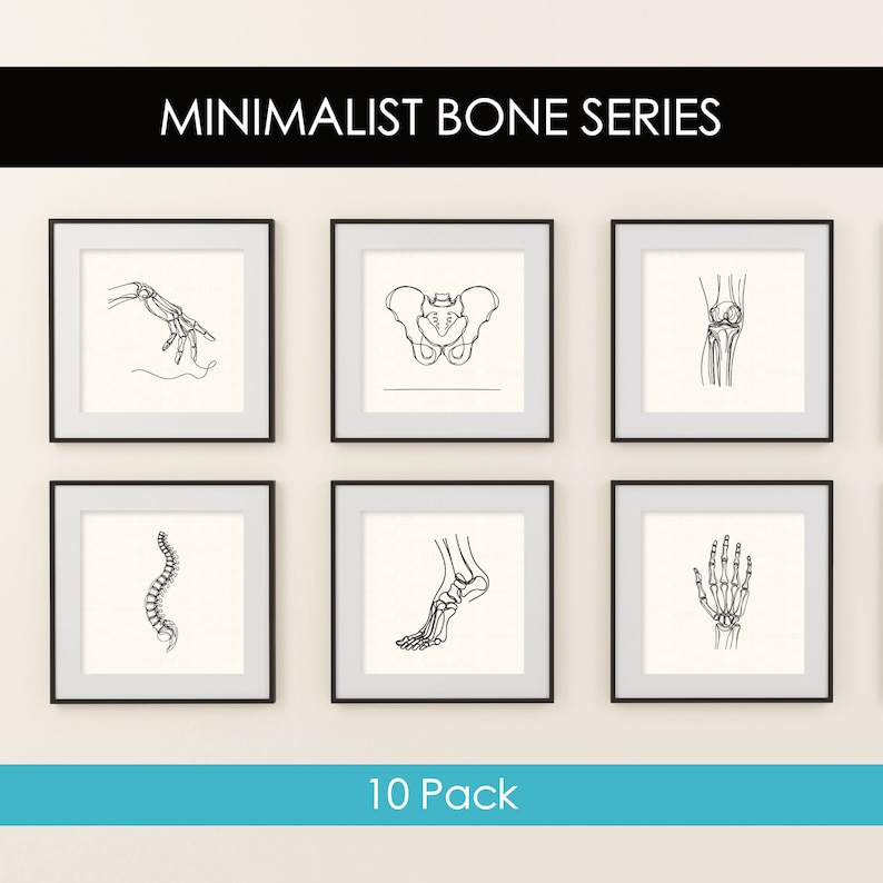 10 Human Skeleton Line Art Prints- Minimalist Anatomy Art Print ...