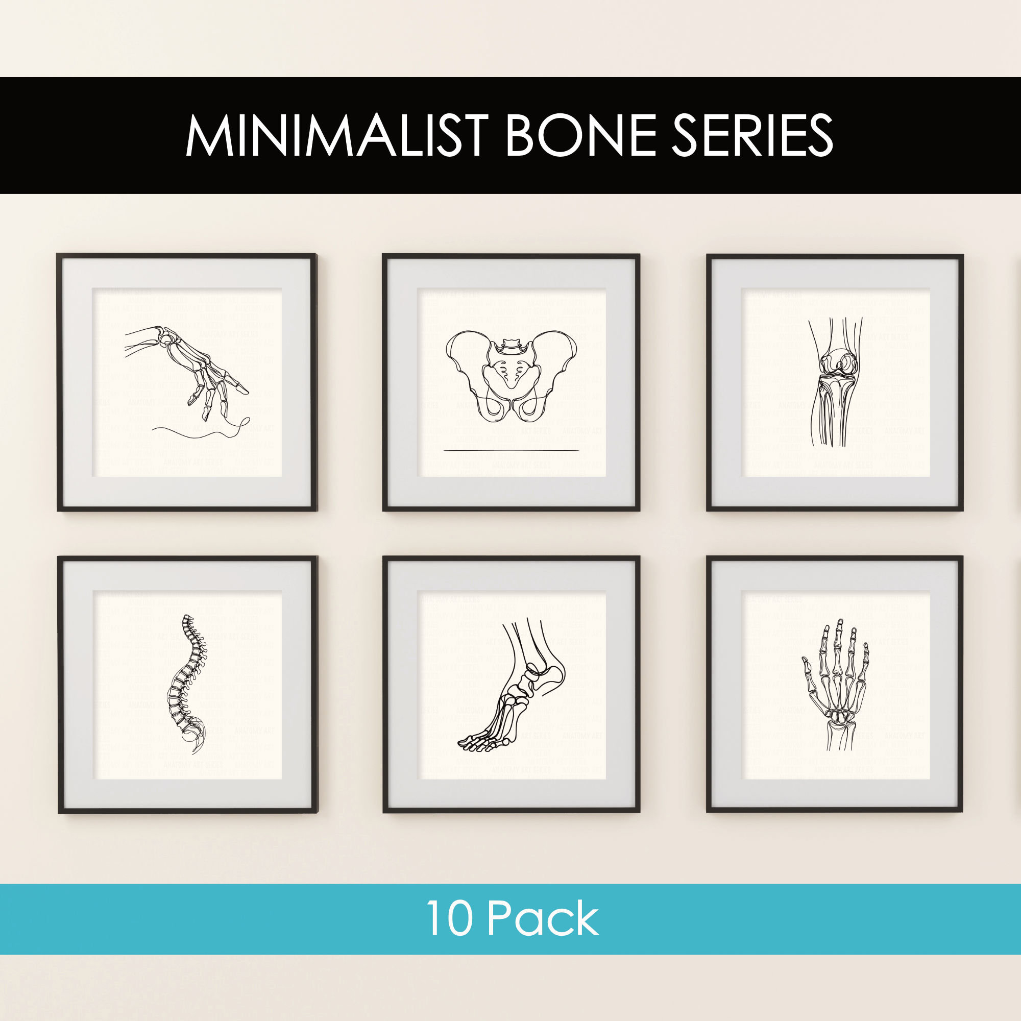 10 Human Skeleton Line Art Prints Minimalist Anatomy Art Print Medical ...