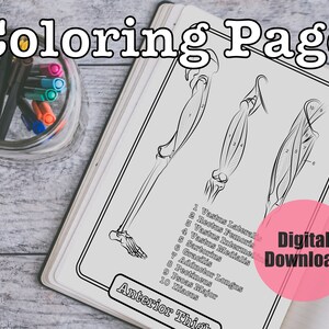 Leg Anatomy Coloring Page Instant Download Adult and Children - Etsy