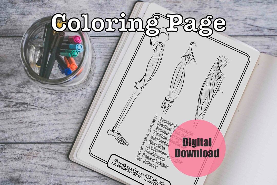 Leg Anatomy Coloring Page Instant Download Adult and Children Learn ...