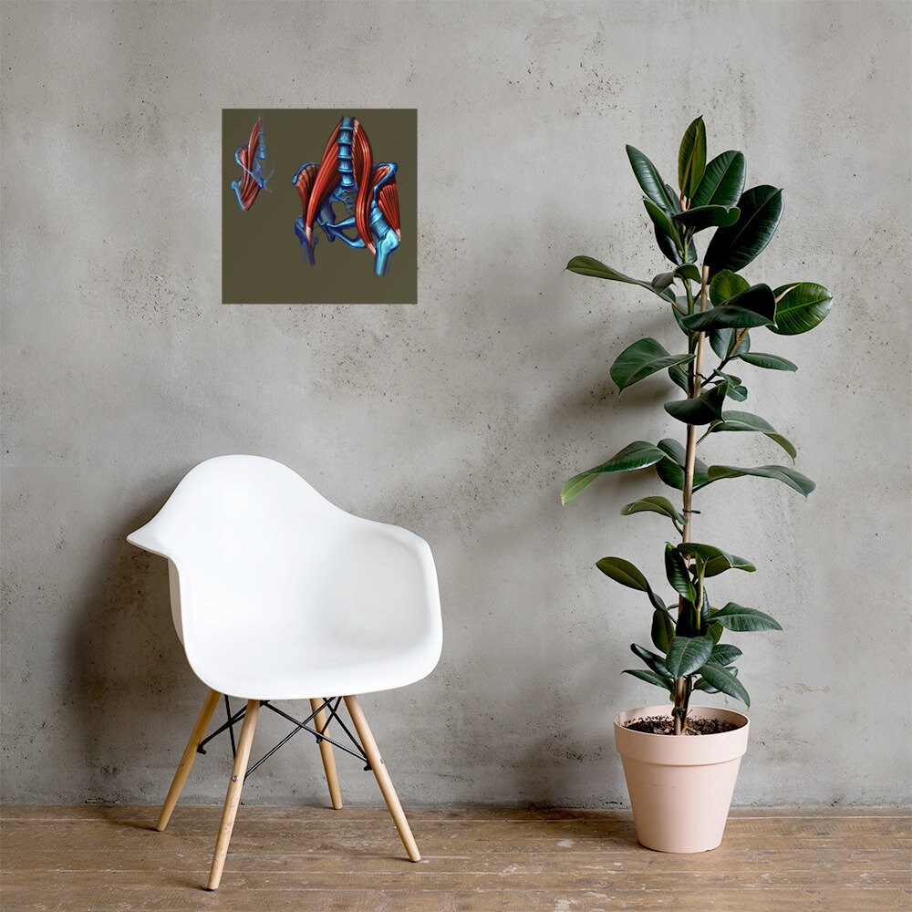 Psoas Anatomy Art Print Pelvic Pelvis Bone Hip Flexors Gift - Etsy
