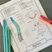 Spine Vertebral Column Coloring Page Sheet RN Med Student Study Guide ...
