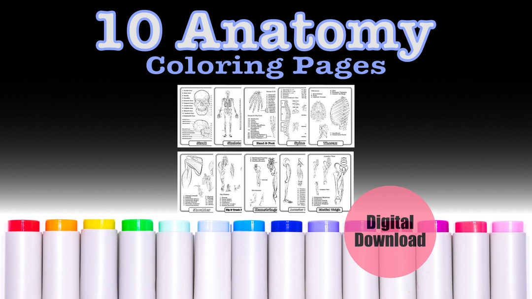 10 Anatomy Coloring Book Pages Printable Body Worksheets - Etsy