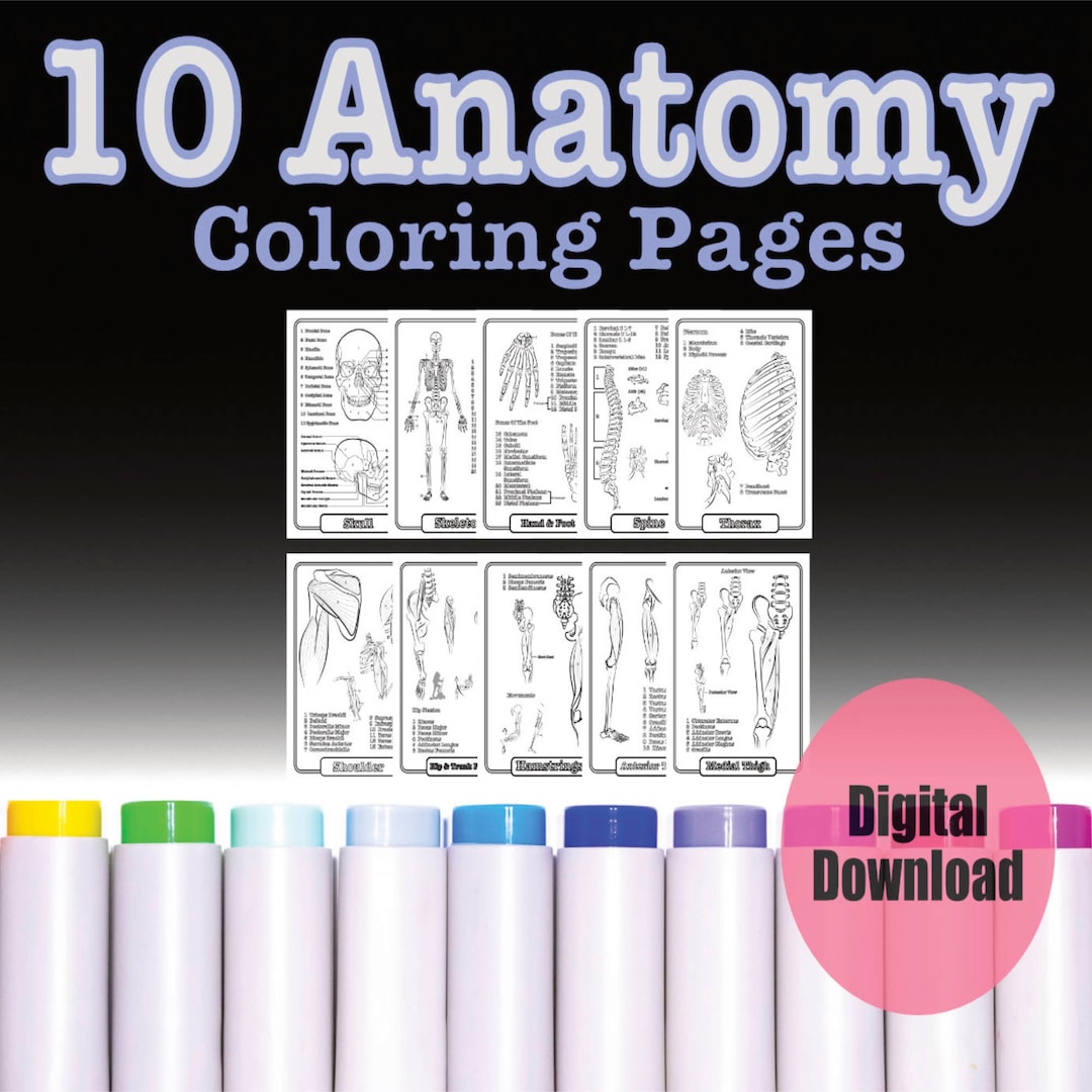 10 Anatomy Coloring Book Pages, Printable Body Worksheets, Human Study ...