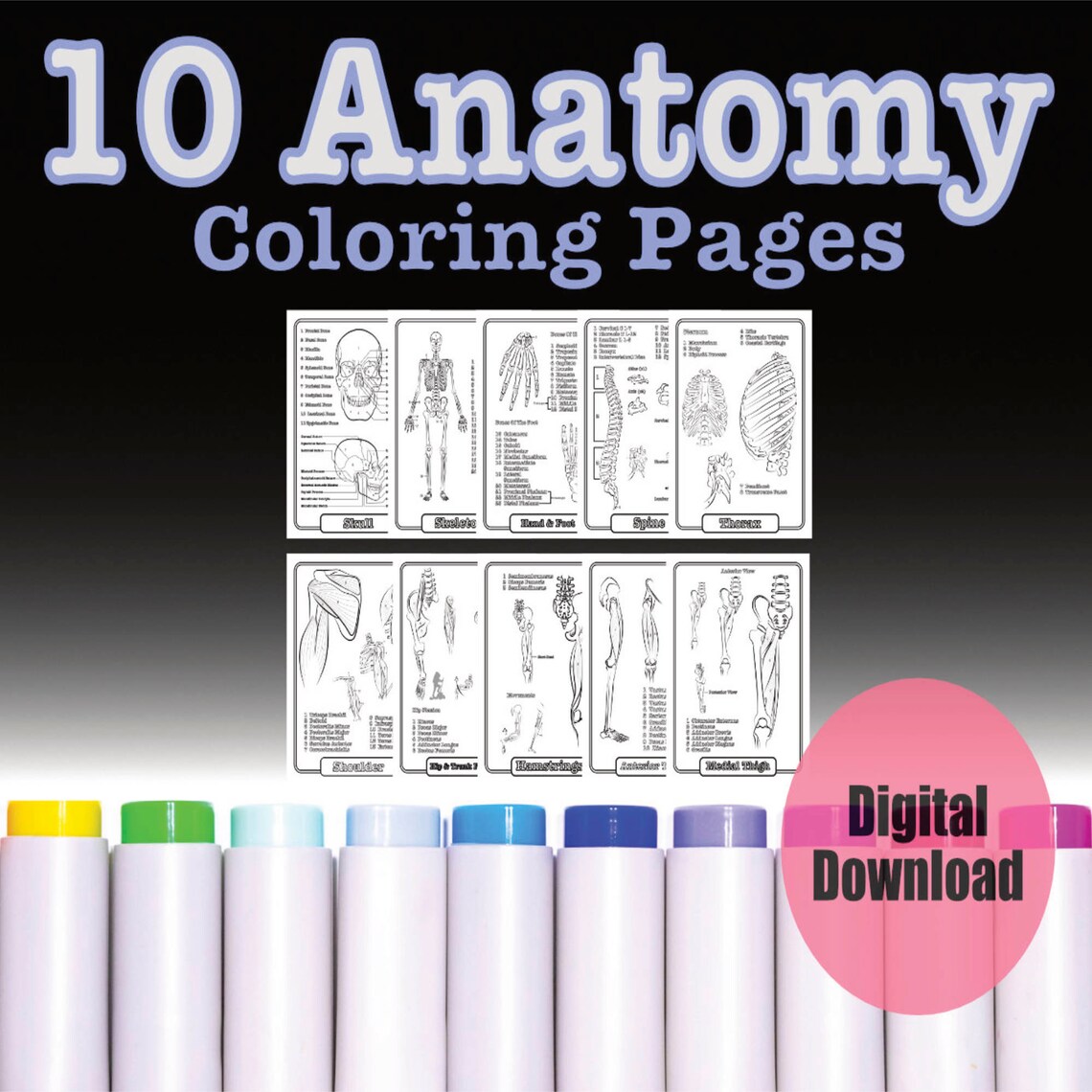 10 Anatomy Coloring Book Pages, Printable Body Worksheets, Human Study ...