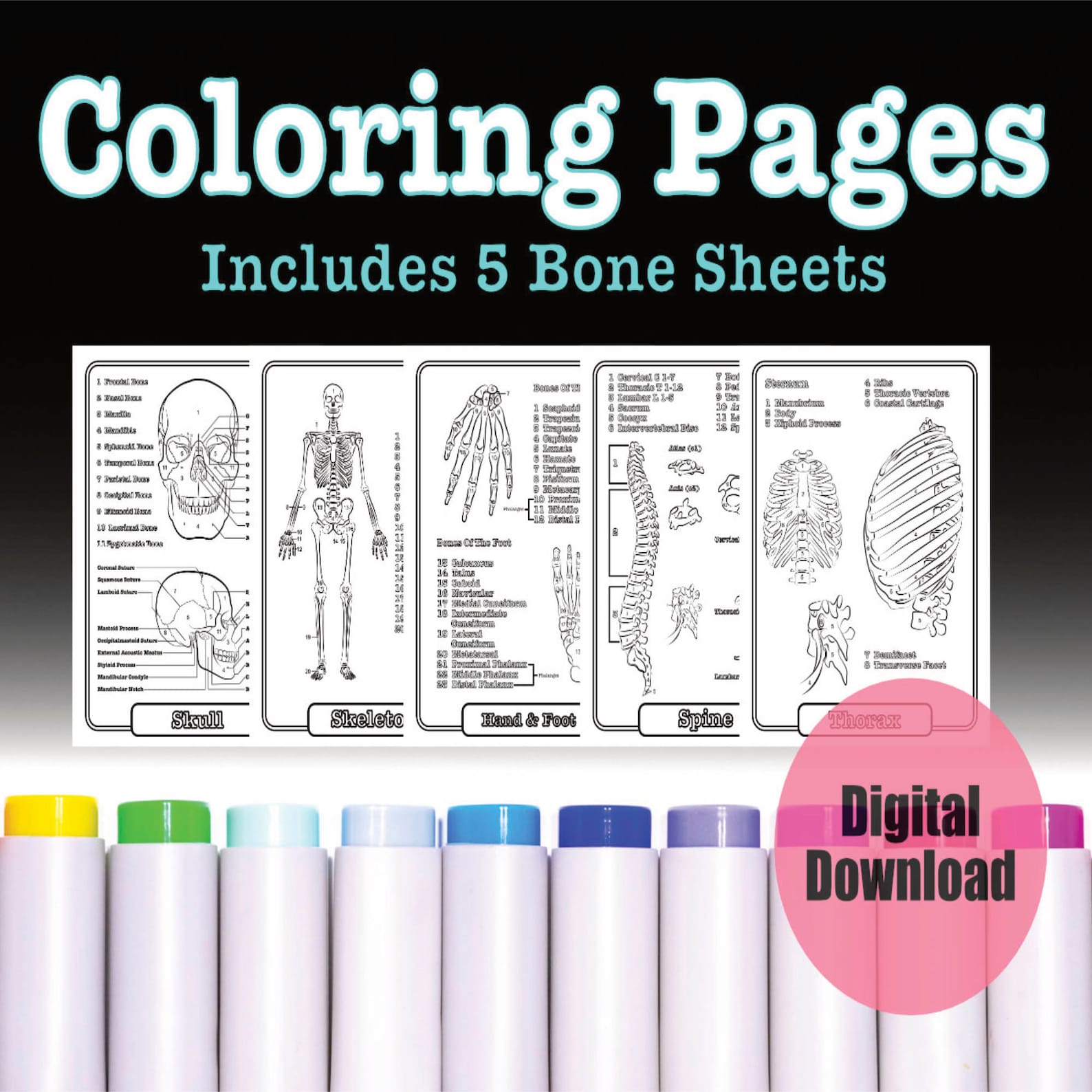 5 Bone Anatomy Coloring Pages, Printable Skeletal System Worksheets ...