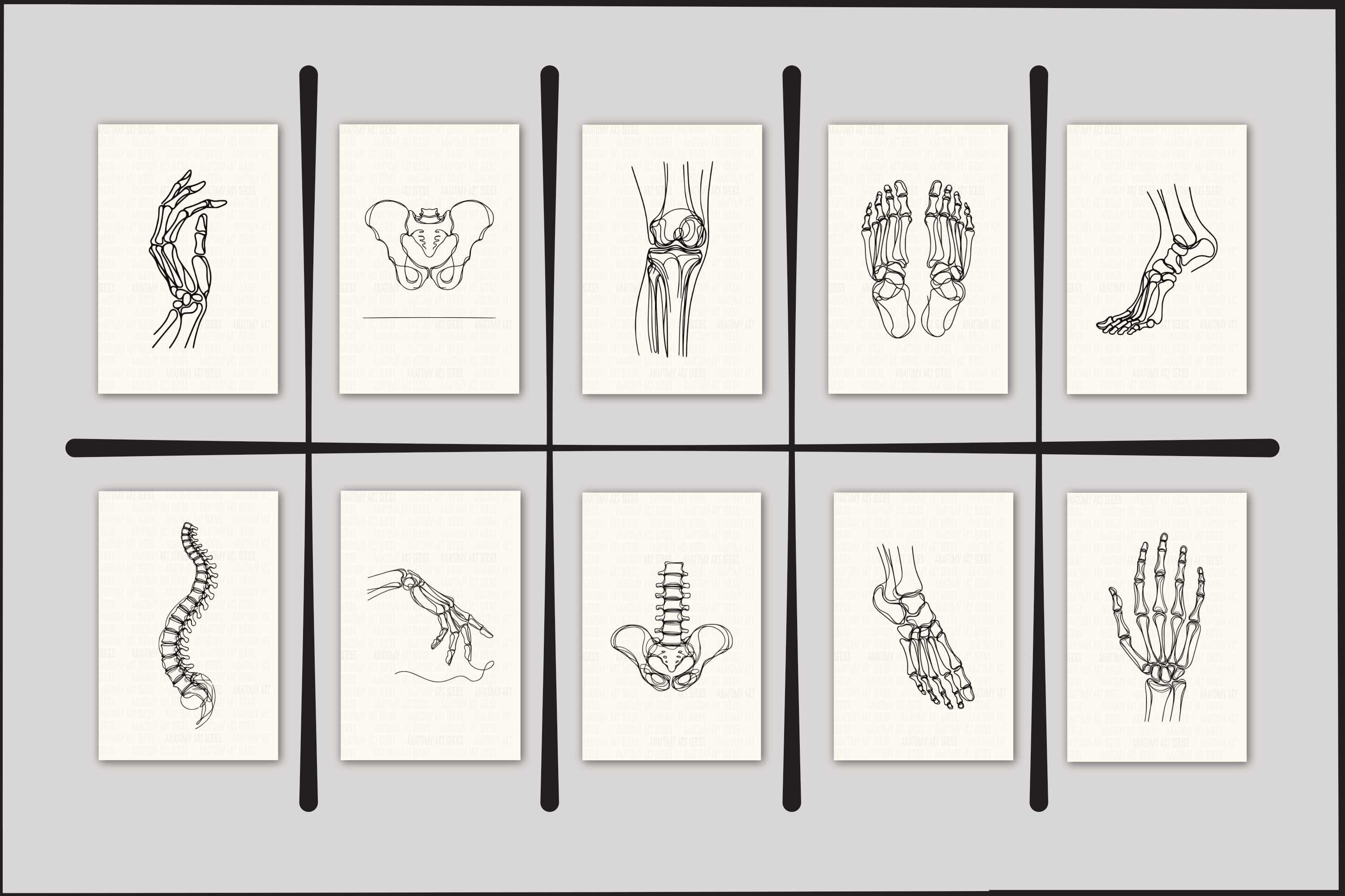 10 Human Skeleton Line Art Prints Minimalist Anatomy Art Print Medical ...