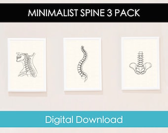Full Spine Front View | Spinal Column Line Anatomy Drawing Minimalist ...