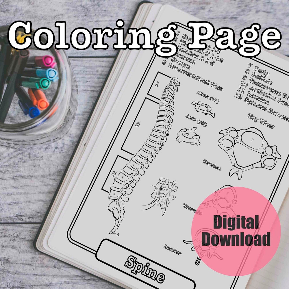 AnatomyArtSeries - Etsy