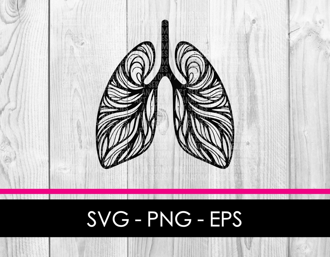 Lung Anatomy Svg/respiratory System Svg/silhouette Cut Files Lung ...