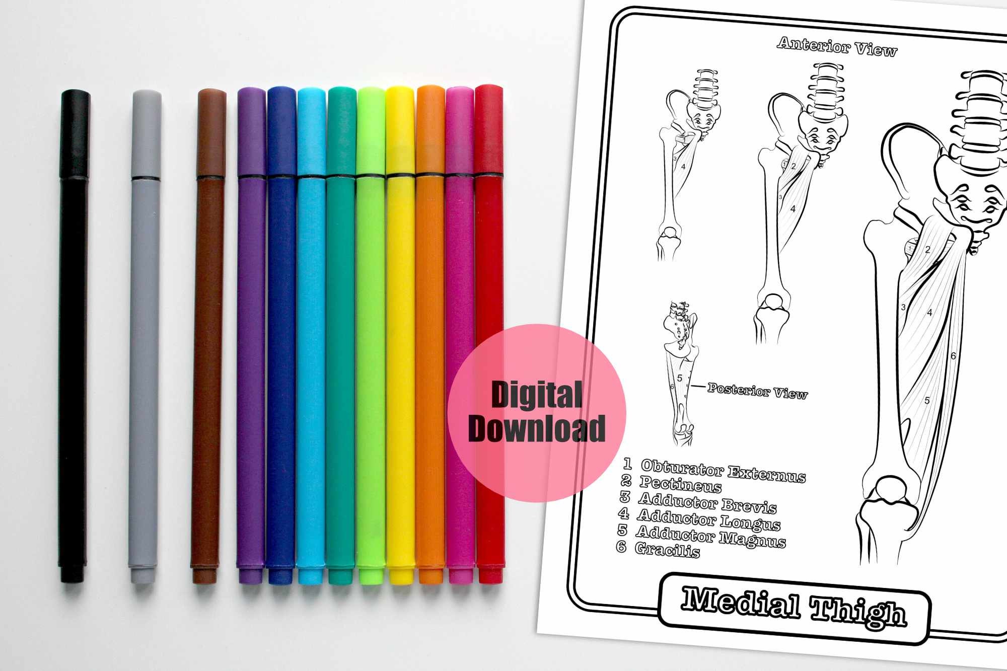 10 Anatomy Coloring Book Pages, Printable Body Worksheets, Human Study ...