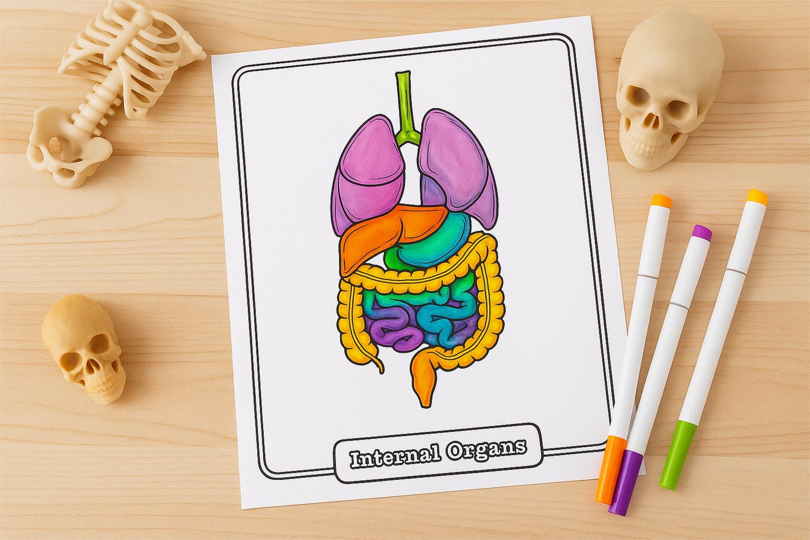25 Anatomy Coloring Pages Printable, Human Body Coloring Book, Children ...