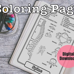 Spine Vertebral Column Coloring Page Sheet RN Med Student - Etsy