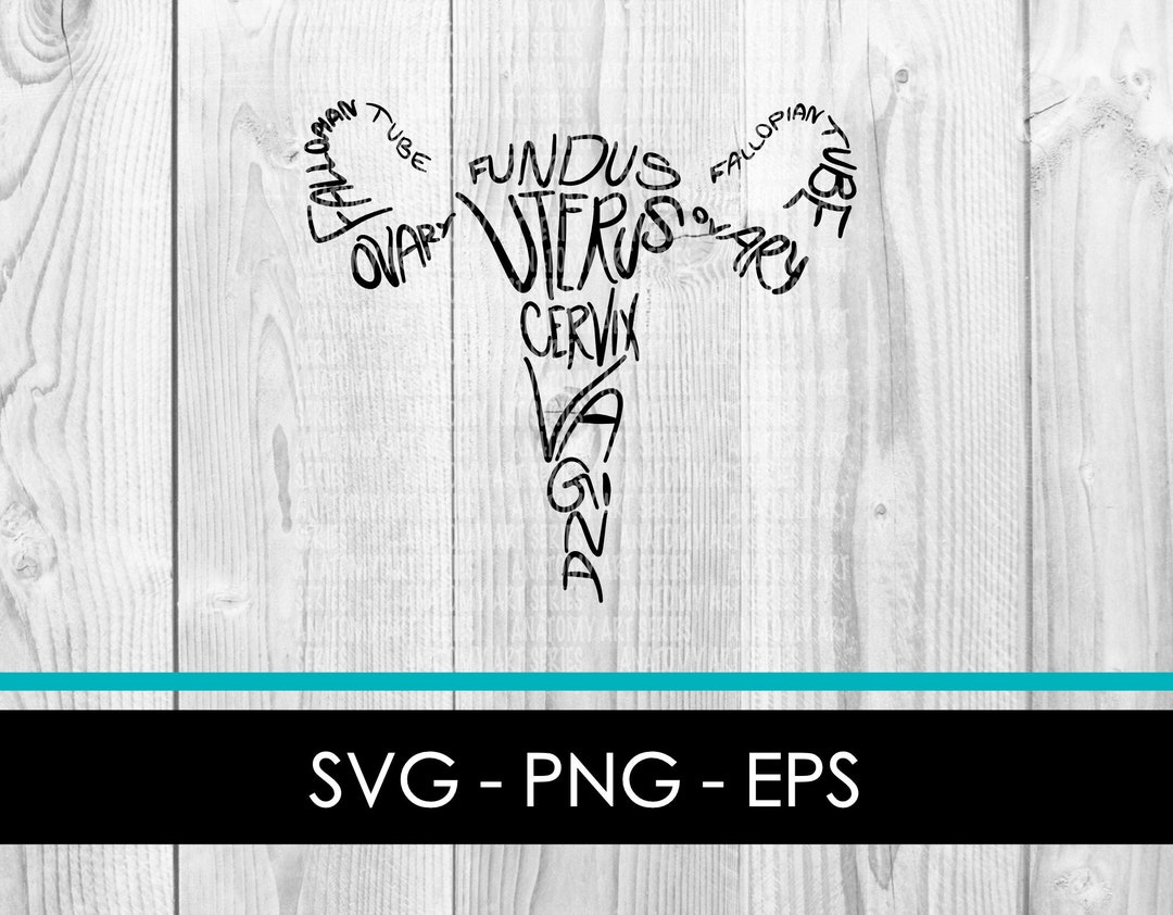 Uterus Svg, Uterus Cut File, Female Organ, Reproductive, Vector DIGITAL ...