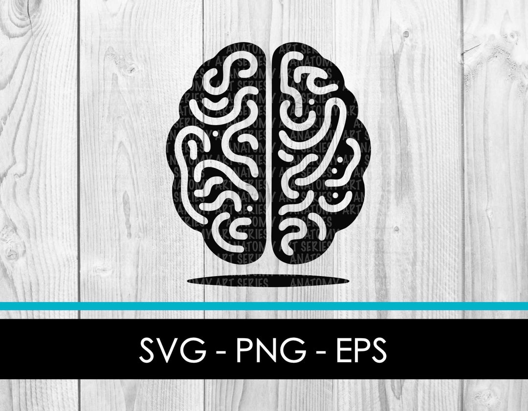 Brain Top View Svg Png, Neuro Neurologist Vector, Medical Cut Files ...