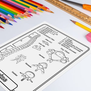 5 Bone Anatomy Coloring Pages, Printable Skeletal System Worksheets ...