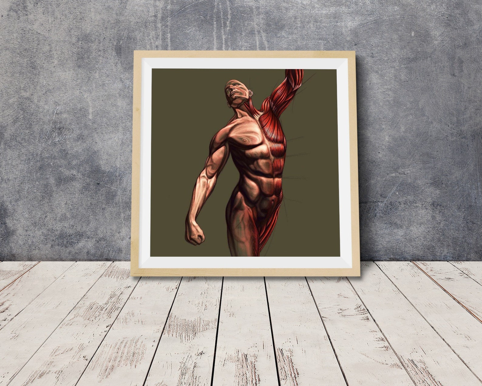 Male Anatomy Art Print Human Torso Muscular System Decor Wall ...