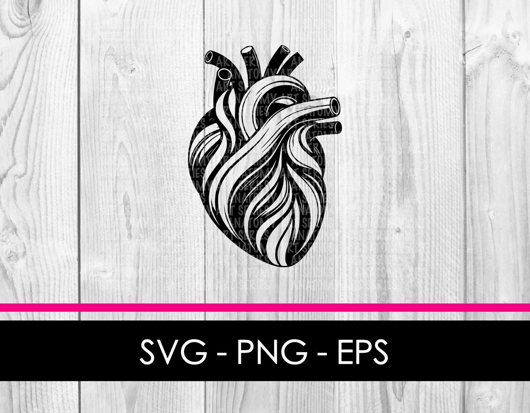 Anatomical Heart Svg Png, Cardiology Vector, Medical Cut Files DIGITAL ...
