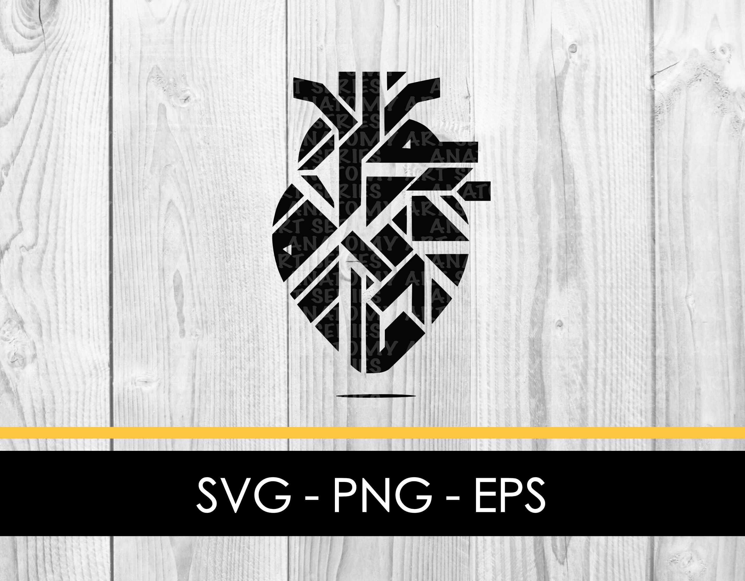 Anatomical Heart Svg Png, Cardiology Vector, Geometric Heart Cut Files ...
