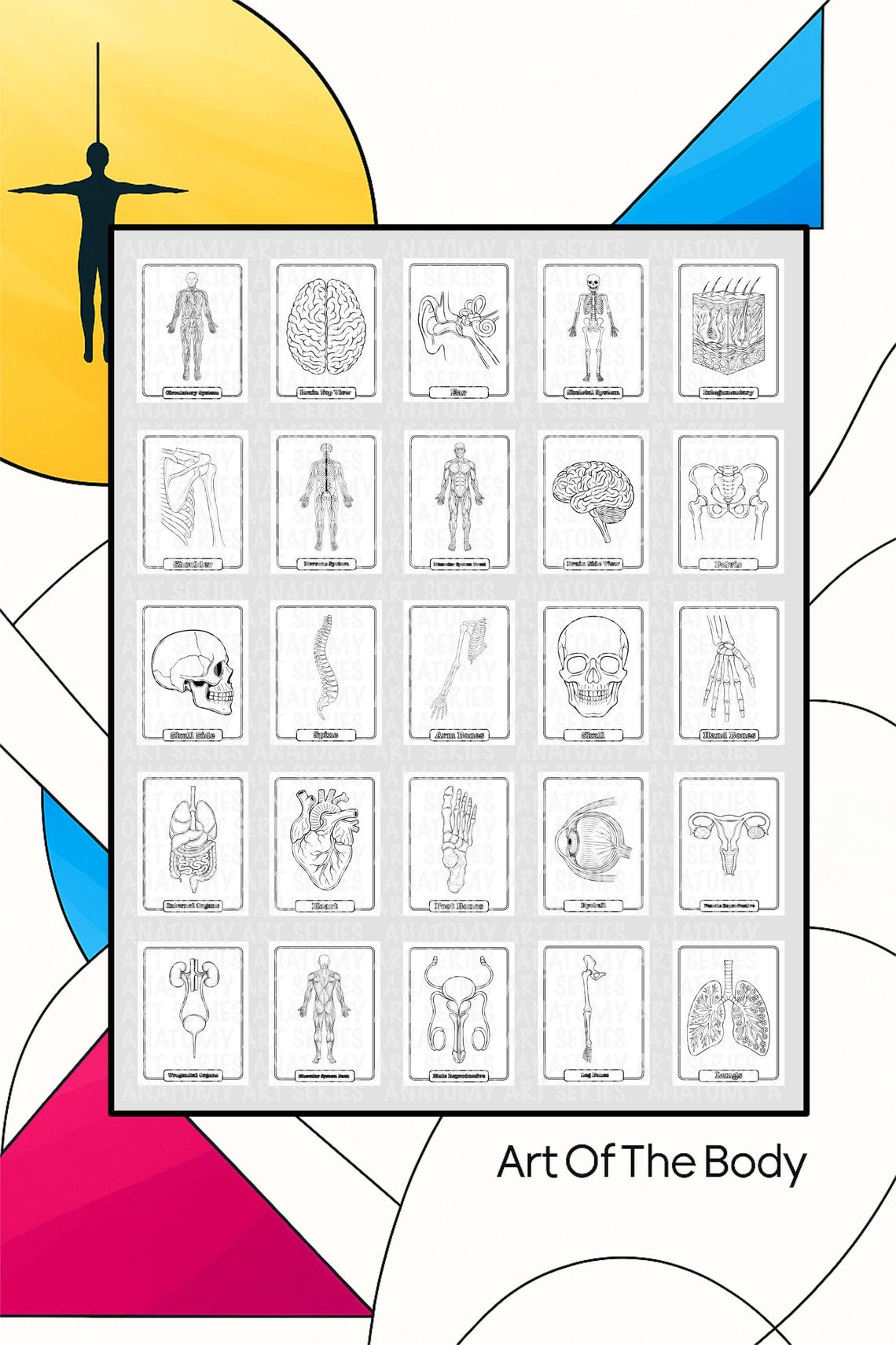 25 Anatomy Coloring Pages Printable, Human Body Coloring Book, Children ...