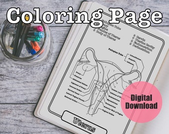 PRINTABLE Rabbit External Anatomy Worksheet - Etsy