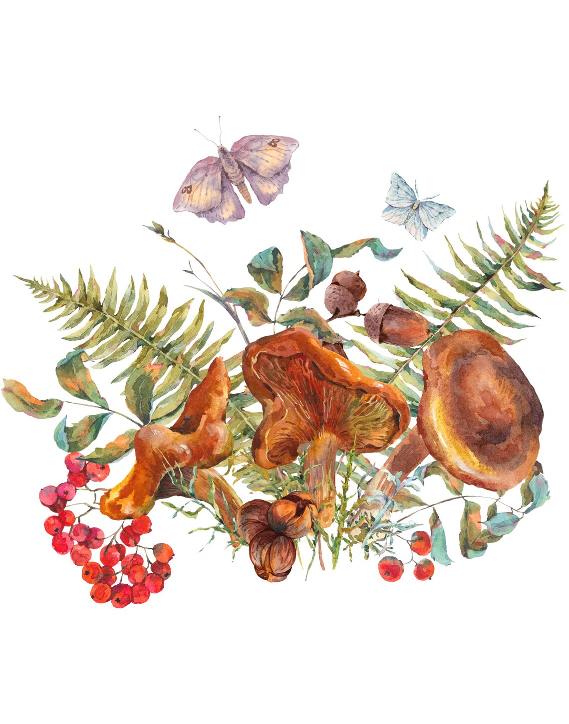 Mushroom Prints Mushroom Wall Art Mushroom Decor Mushroom - Etsy