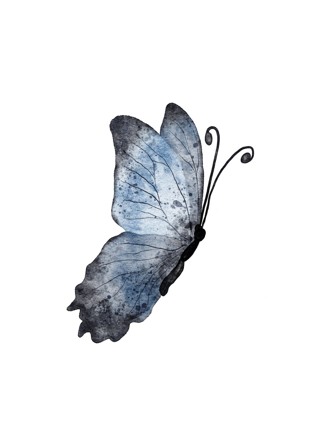 Butterfly Decor, Butterfly Printable, Butterfly Poster, Butterfly Art ...