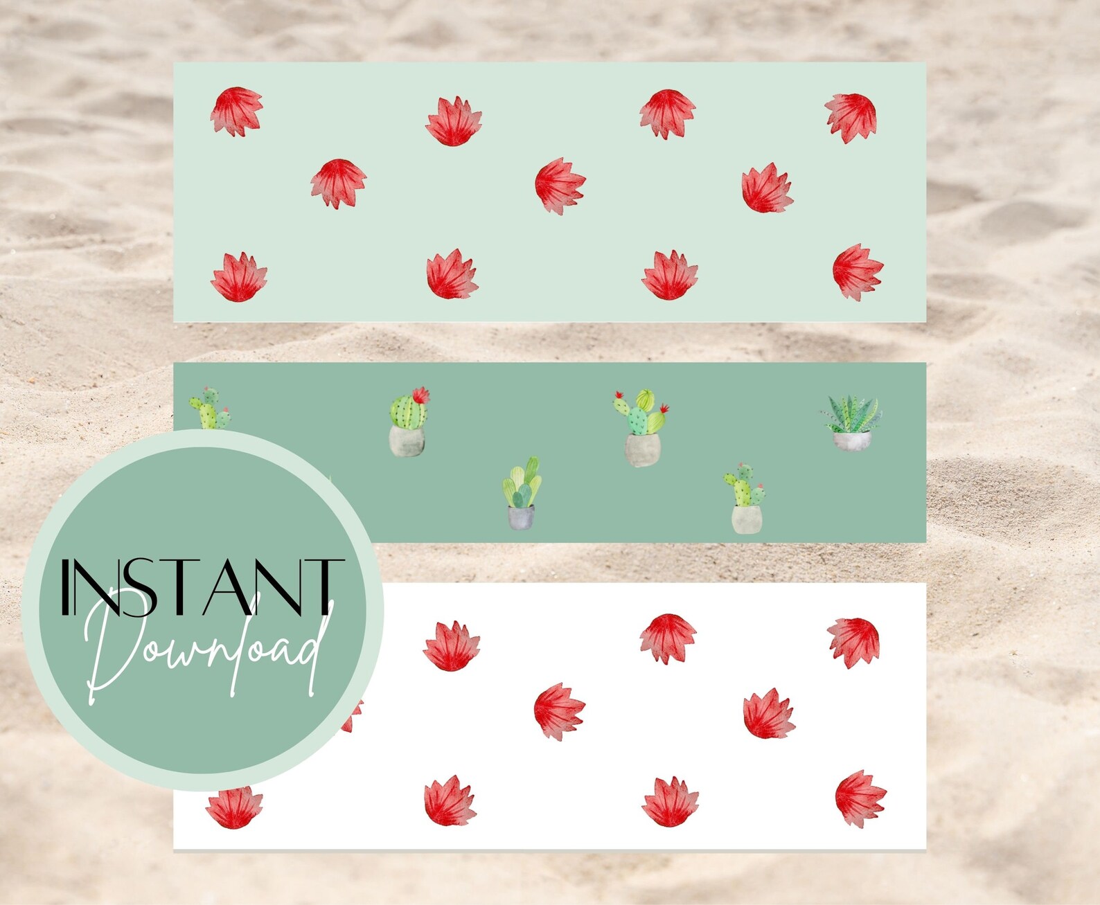 Cactus Classroom Bulletin Board Border | Printable Bulletin Board Kit ...