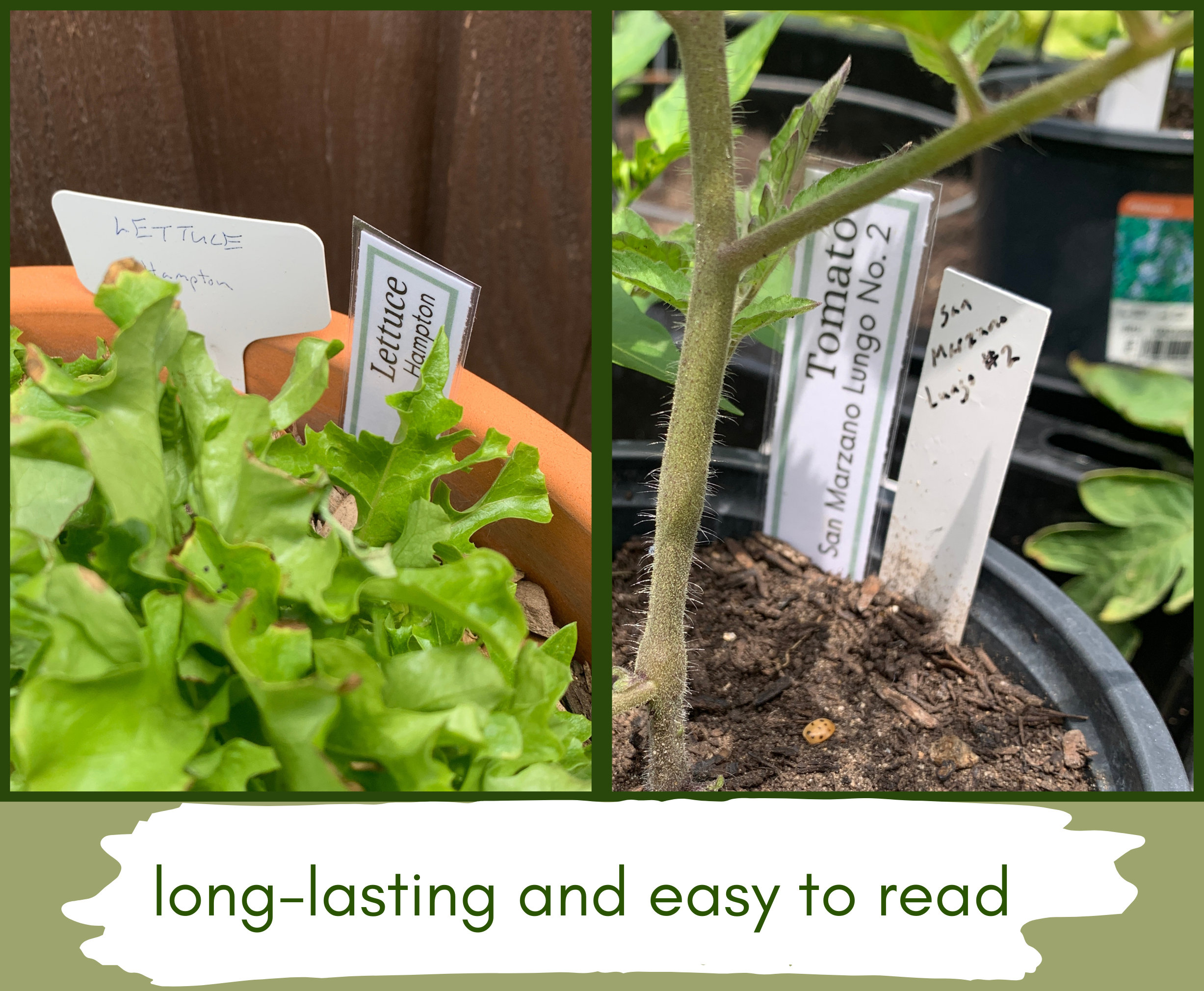 Customizable and Editable Plant Labels | Garden Tags for Any Plant ...