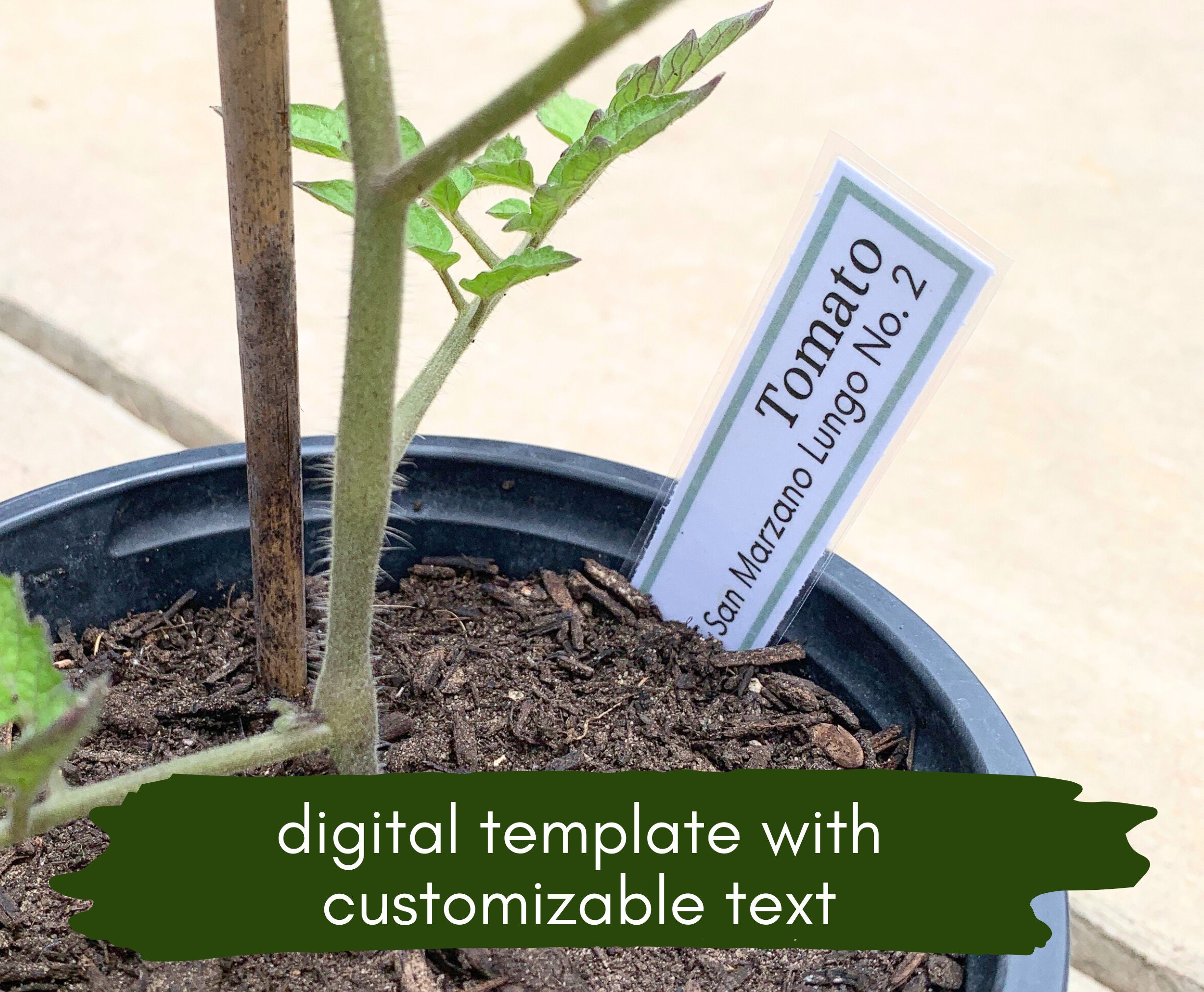 Customizable and Editable Plant Labels | Garden Tags for Any Plant ...