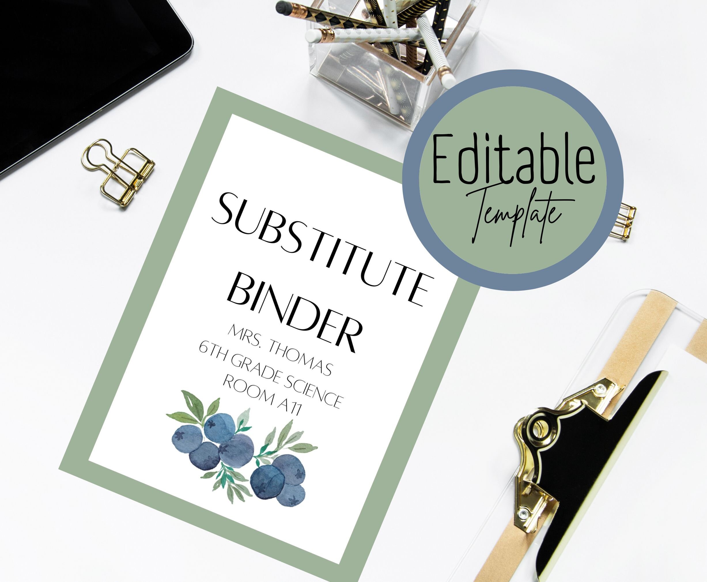 Editable Substitute Binder Template: Classroom Planner (canva Digital ...