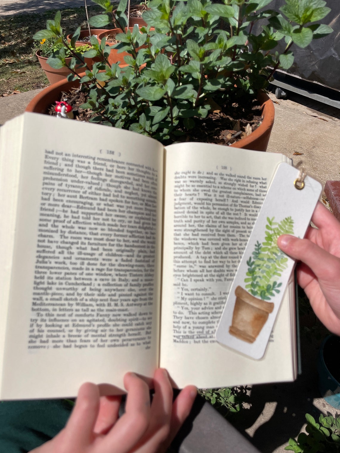 Hand-painted Watercolor Plant in Terracotta Pot Bookmark 2x7 Laminated ...