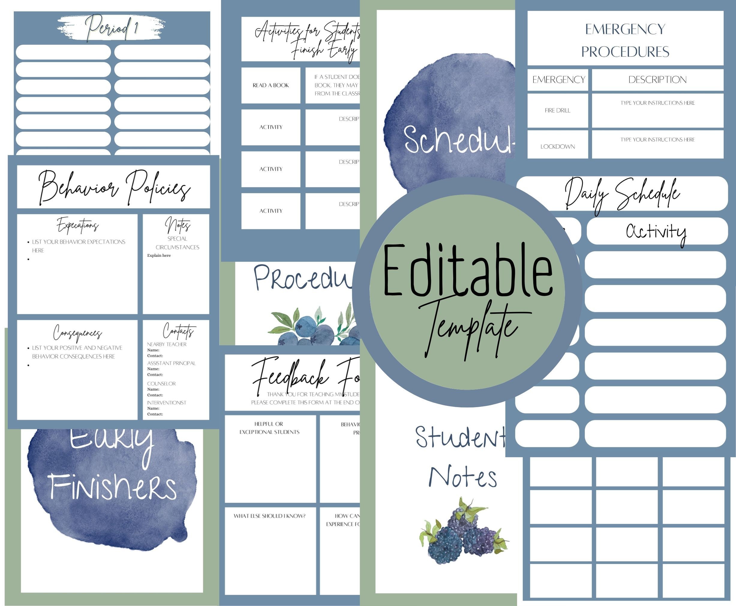 Editable Substitute Binder Template: Classroom Planner (canva Digital ...