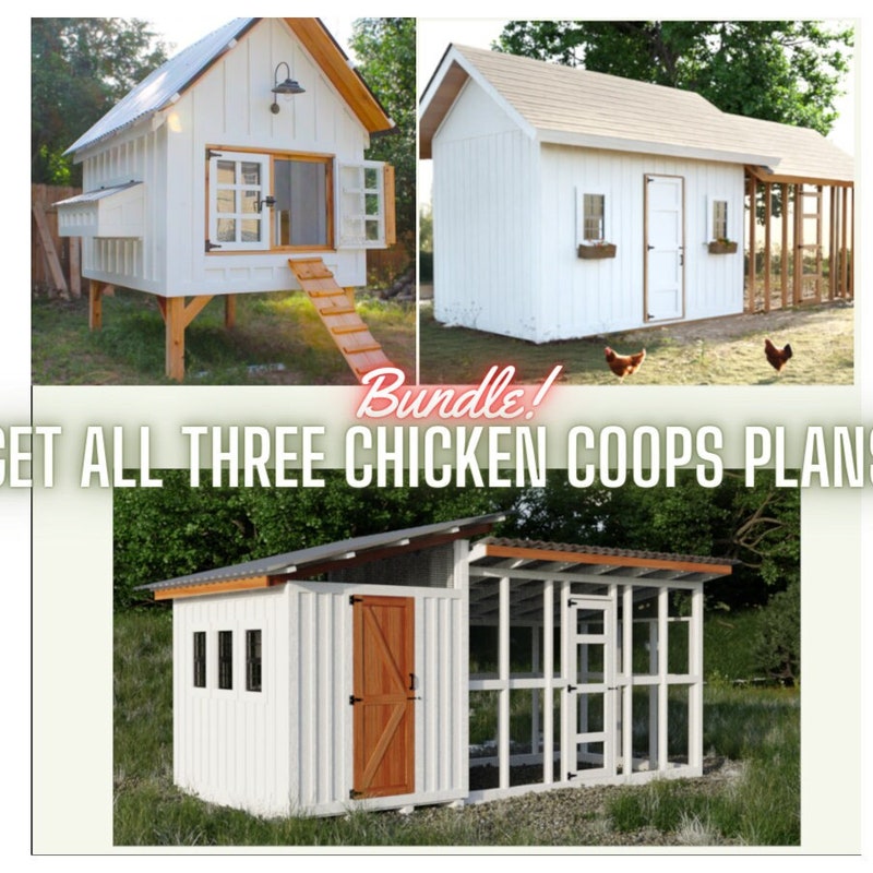 Coop Plan Idea - Etsy