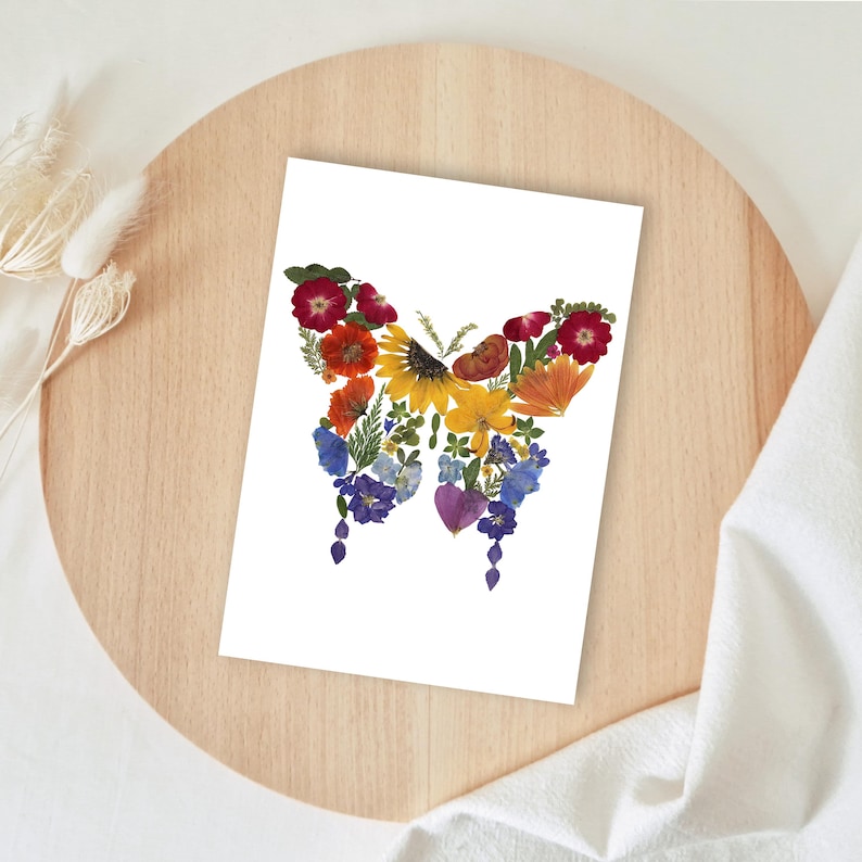 Rainbow Butterfly Pressed Flower Art Print - Botanical Animal Wall ...
