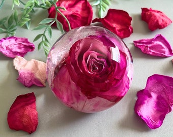 Rainbow Forever Rose Real Rose Preserved in Resin Anniversary Gift Gift ...