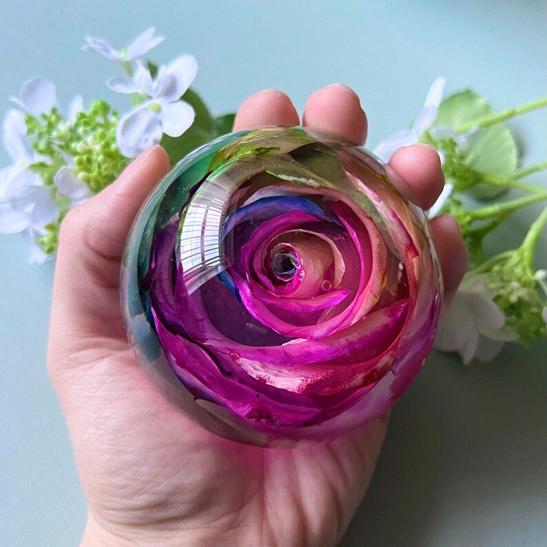 Rainbow Forever Rose Real Rose Preserved in Resin - Etsy