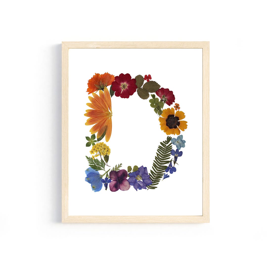 Rainbow Letter D Pressed Flower Art Print - Monogram Botanical Wall ...
