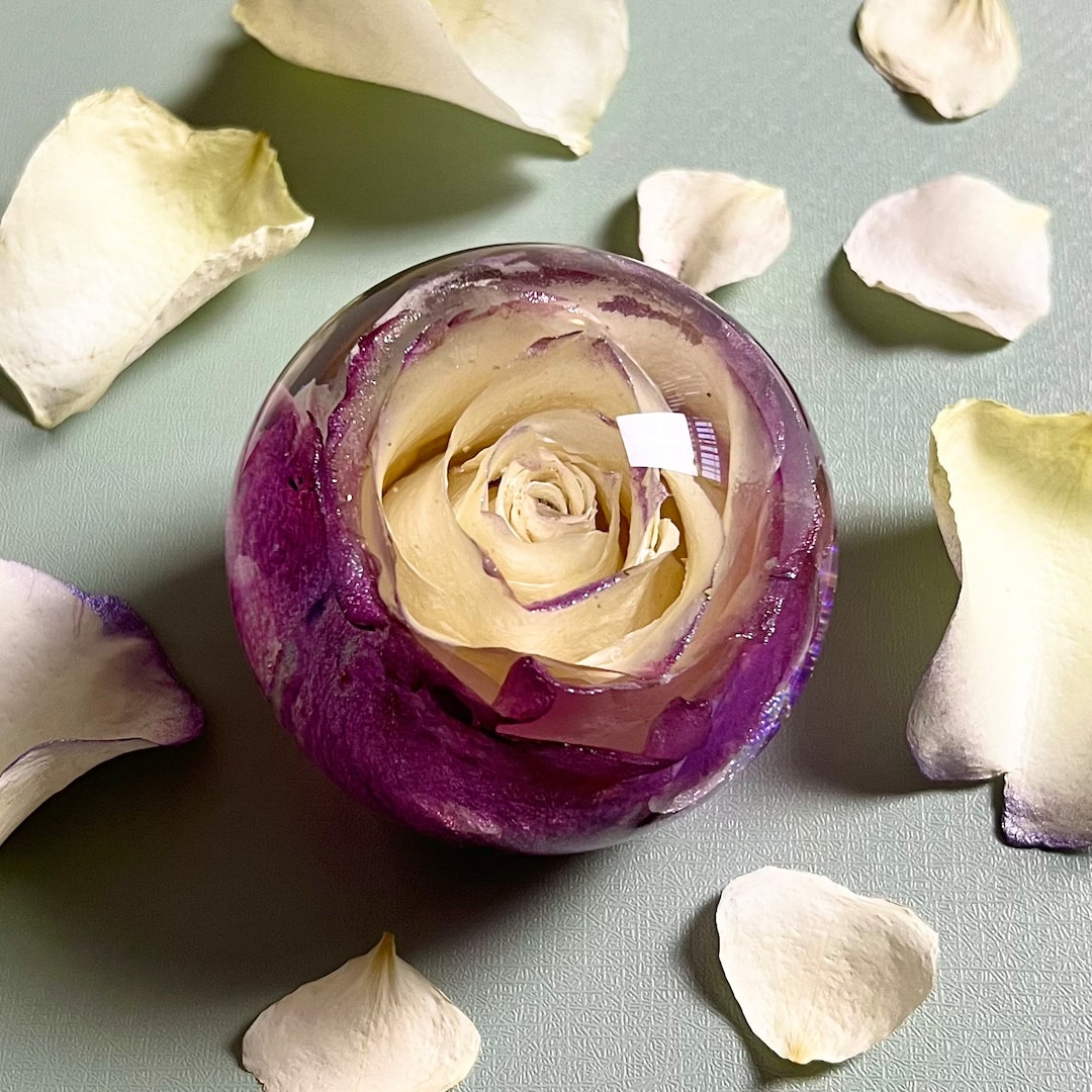 Pink Innocence Forever Rose Real Rose Preserved in Resin - Etsy