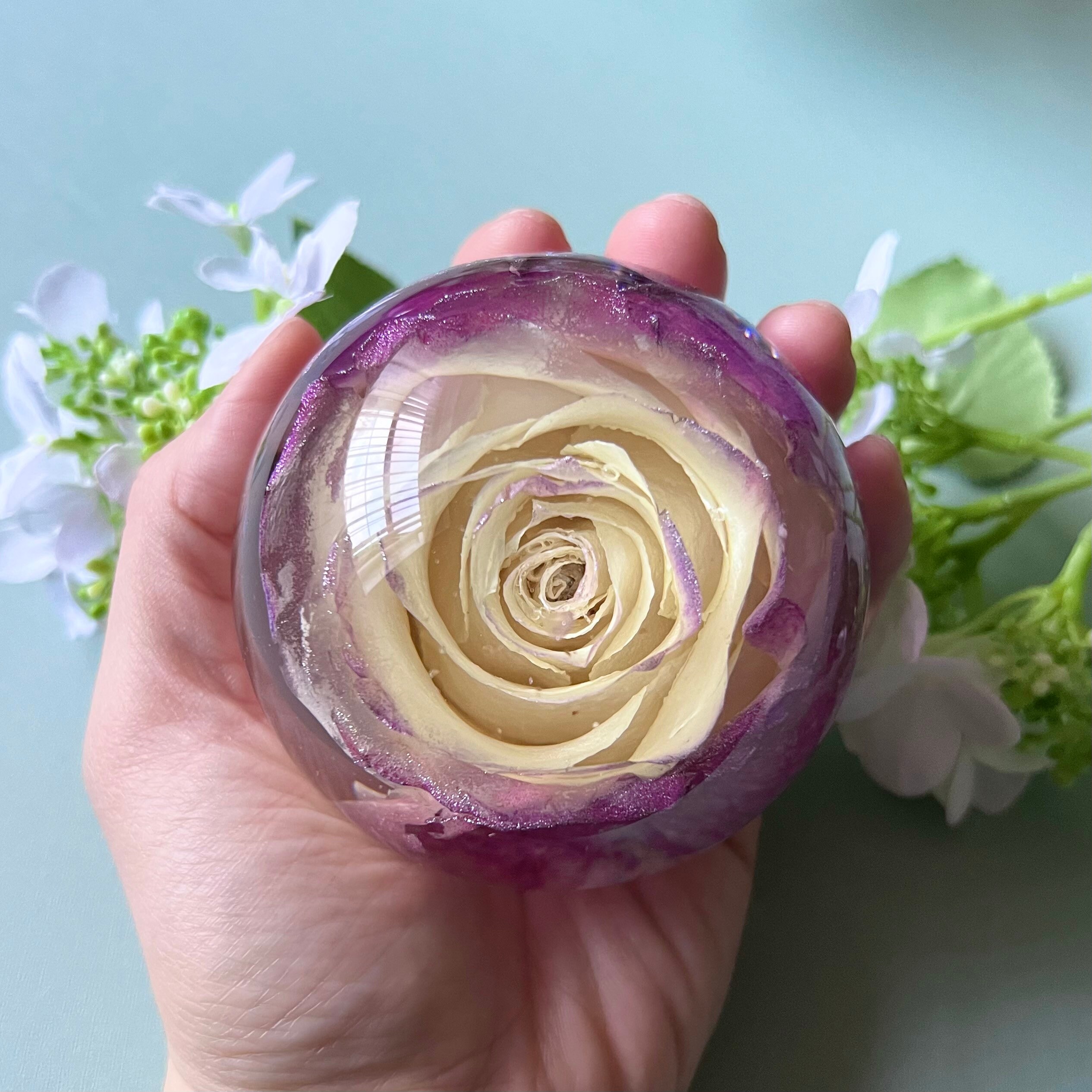 Pink Innocence Forever Rose Real Rose Preserved in Resin - Etsy
