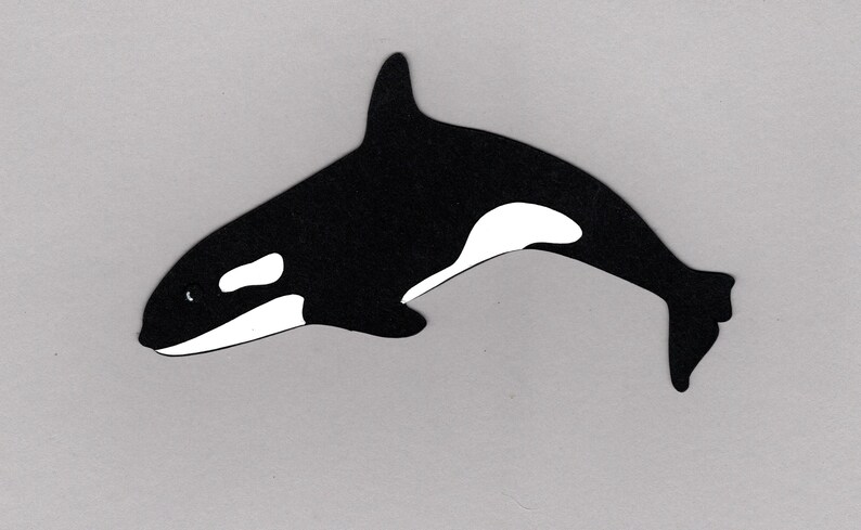 Orca Killer Whale Paper Piecing for Scrapbook Layout - Etsy