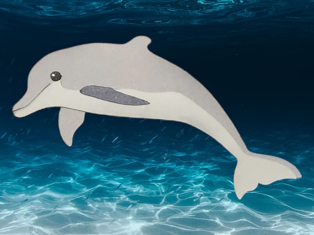 Dolphin Paper Piecing Die Cut Scrapbook Embellishments - Etsy