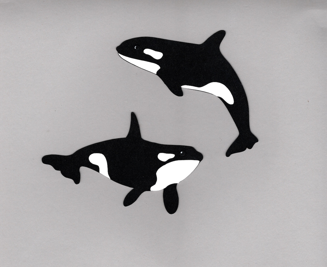 Orca Killer Whale Paper Piecing for Scrapbook Layout - Etsy