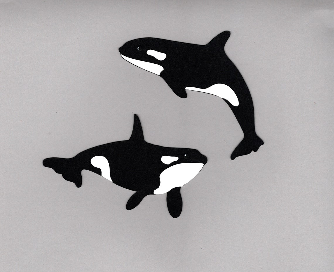 Orca Killer Whale Paper Piecing for Scrapbook Layout - Etsy