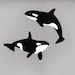 Orca Killer Whale Paper Piecing for Scrapbook Layout - Etsy